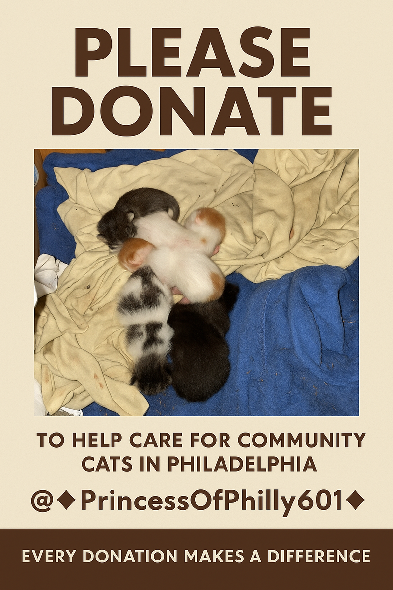 Support Philly’s Cats | Donate to @♠️PrincessOfPhilly601♠️’s Amazon ...